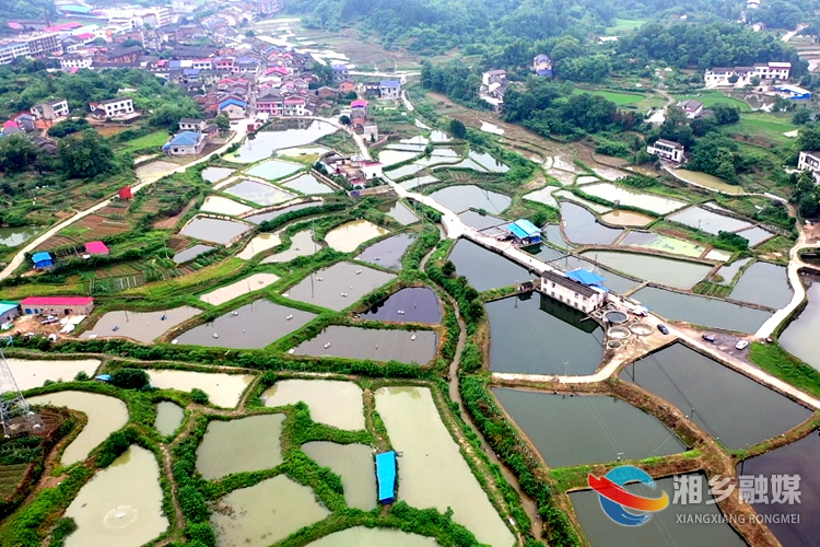 阡陌星云,星云,小星云_大山谷图库